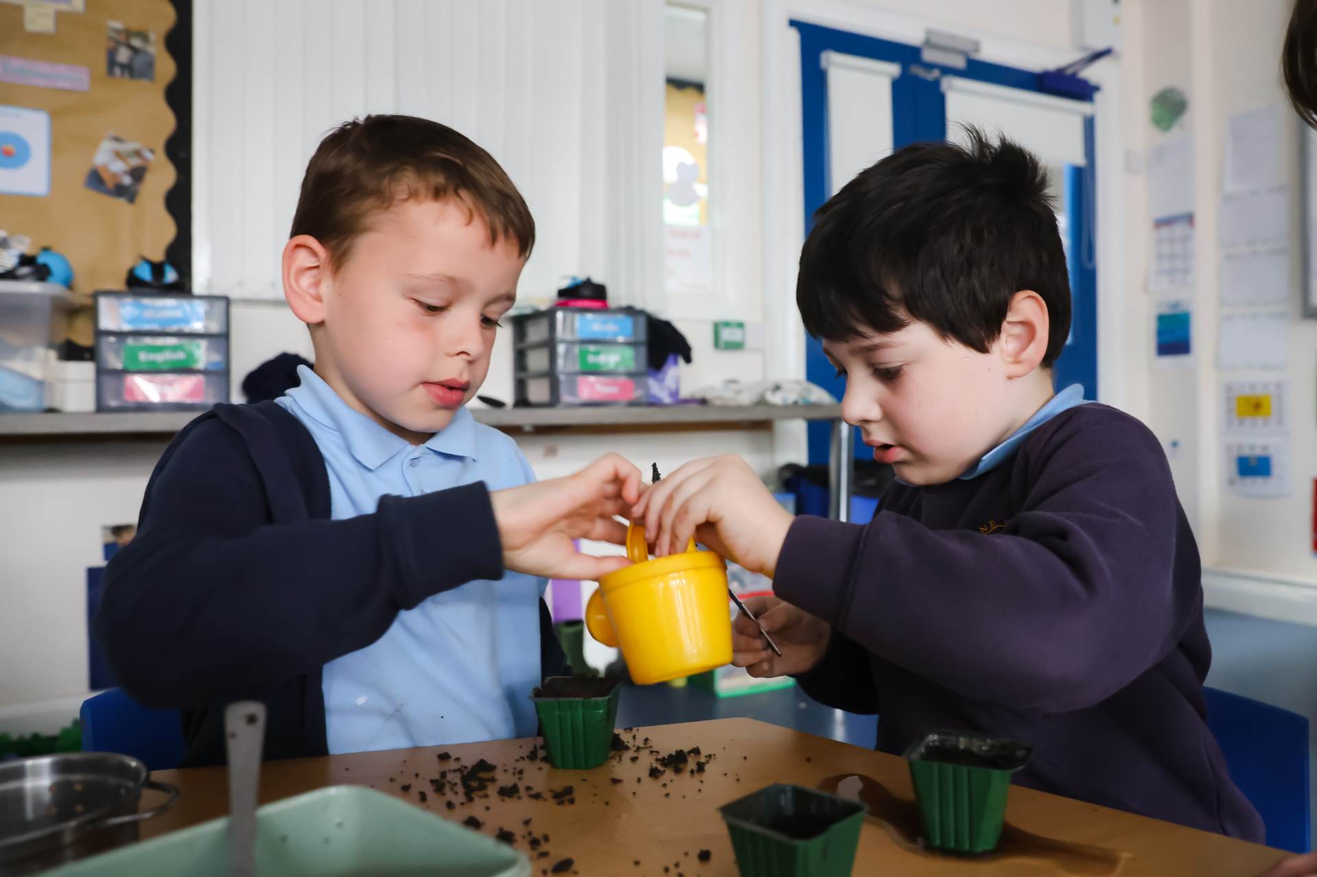 Dane Bank Primary School - The Hive